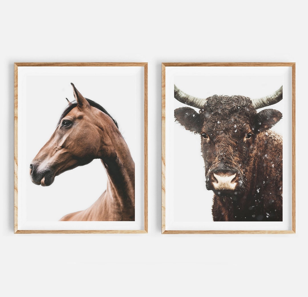 Set of 2, Horse Print, Cow Poster, Set of Prints, Printable Wall Art ...