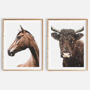 Set of 2, Horse Print, Cow Poster, Set of Prints, Printable Wall Art ...