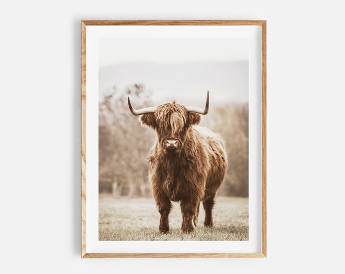 Highland Cow Print, Digital Download, Farm Animal Print, Highland Cow ...