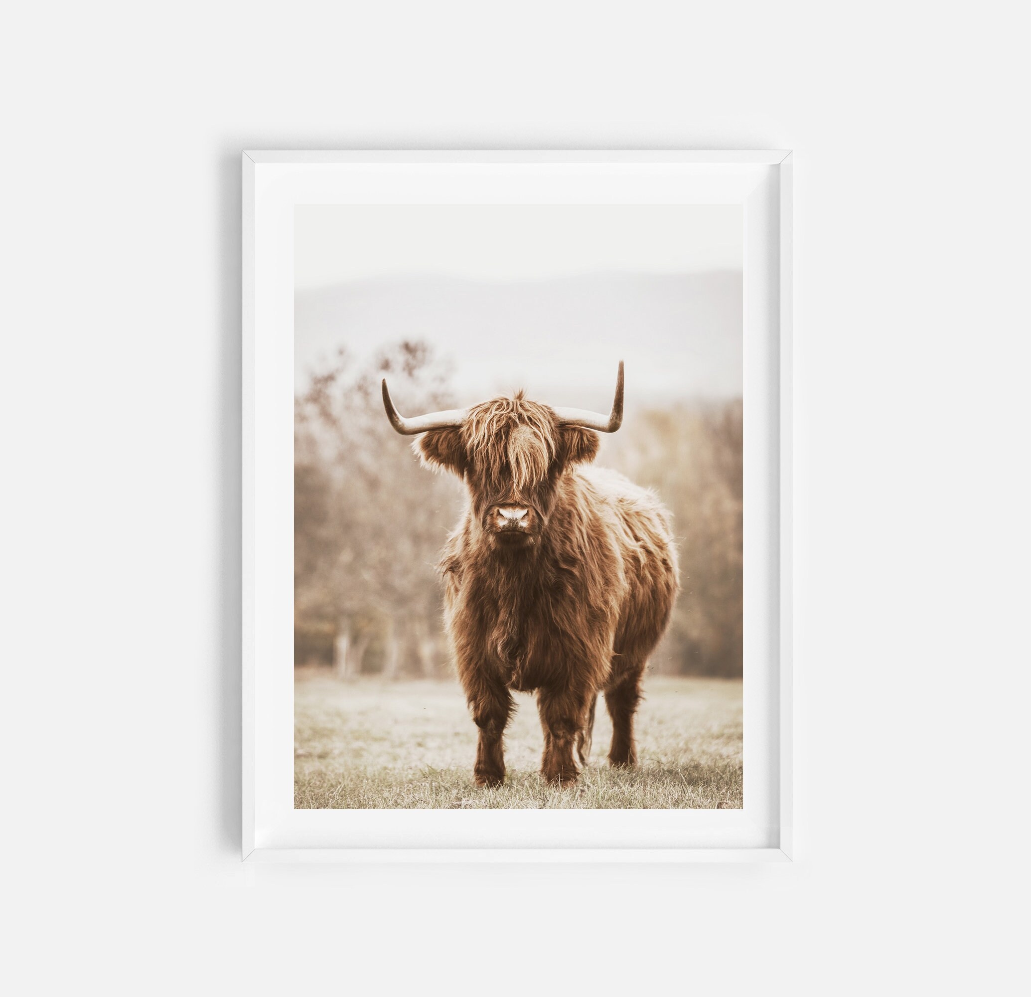 Highland Cow Print Farm Animal Wall Art Large Cow Poster - Etsy Canada