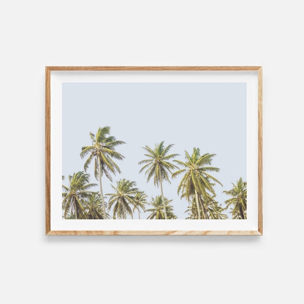Palm Tree Poster - Etsy