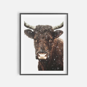 Set of 2, Horse Print, Cow Poster, Set of Prints, Printable Wall Art ...