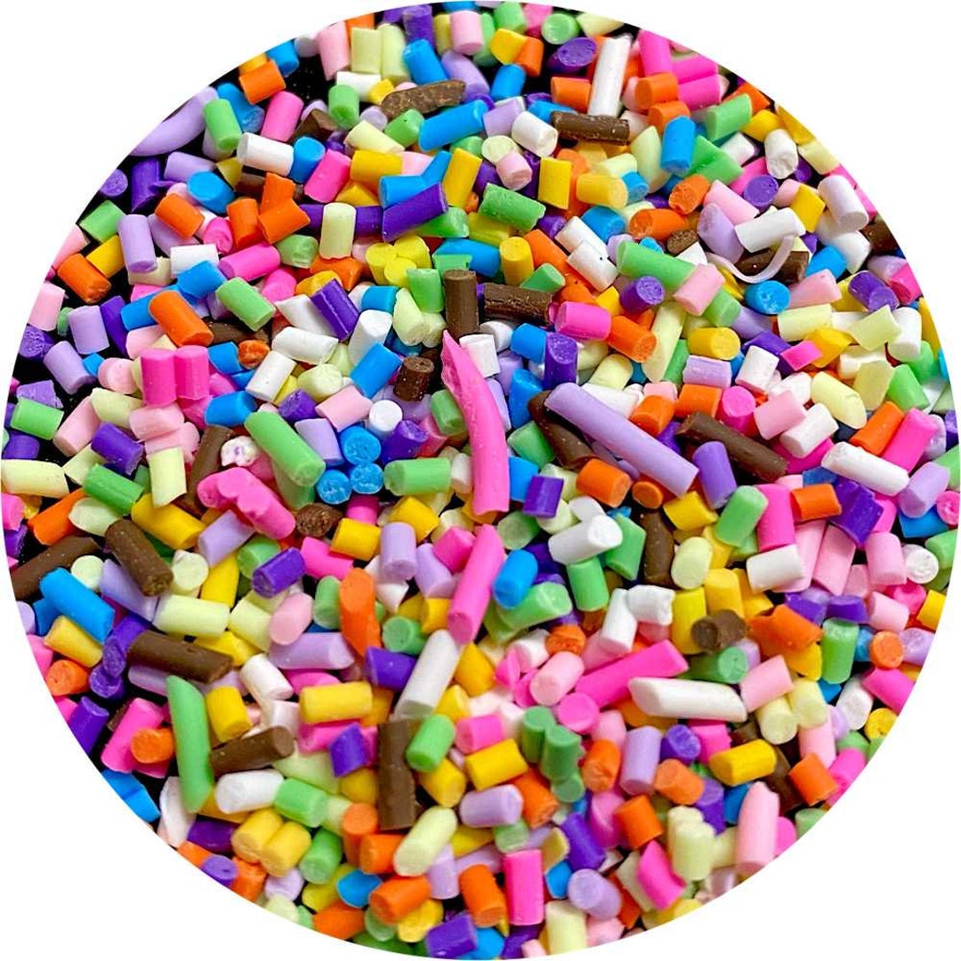 Unicorn Poop - Fake Rainbow Sprinkles - Etsy