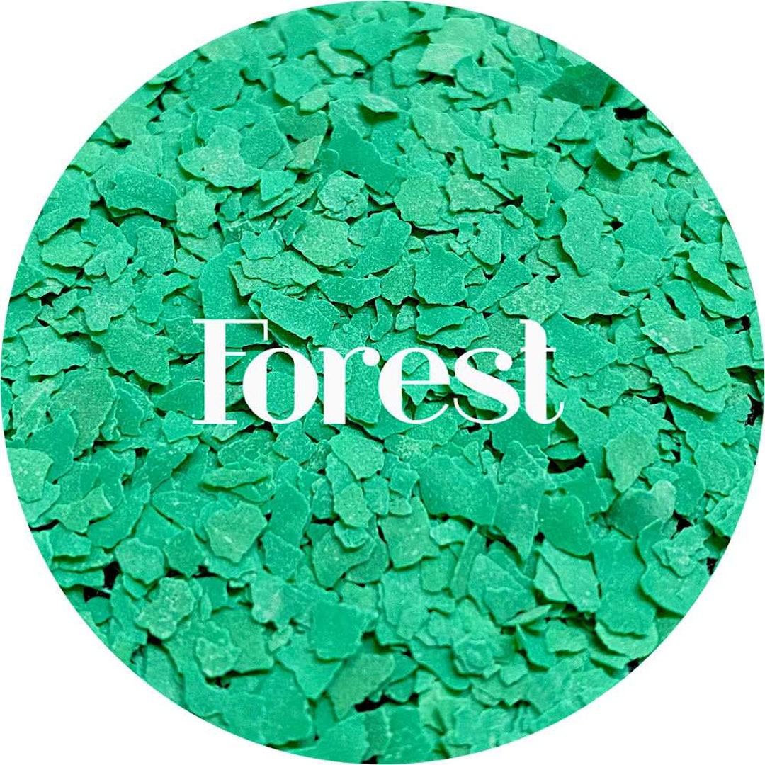 Forest - Green Paint Chips - Etsy