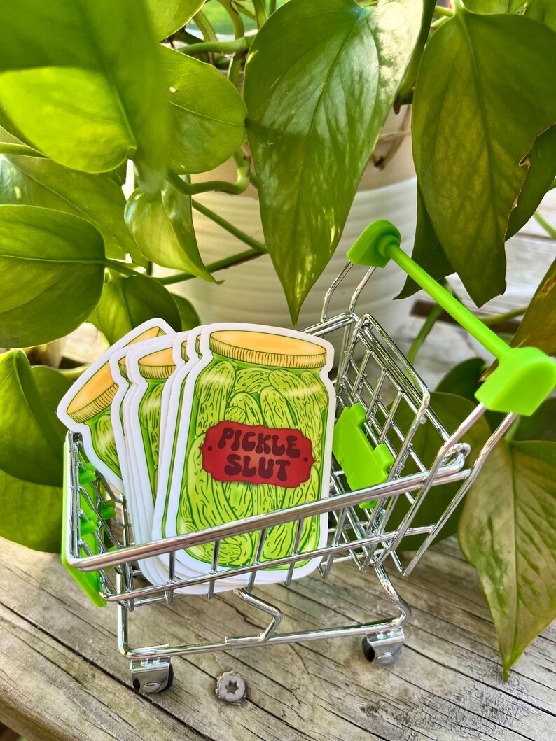 Pickle Slt Sticker, Pickle Lover Sticker, Pickle Jar Sticker - Etsy