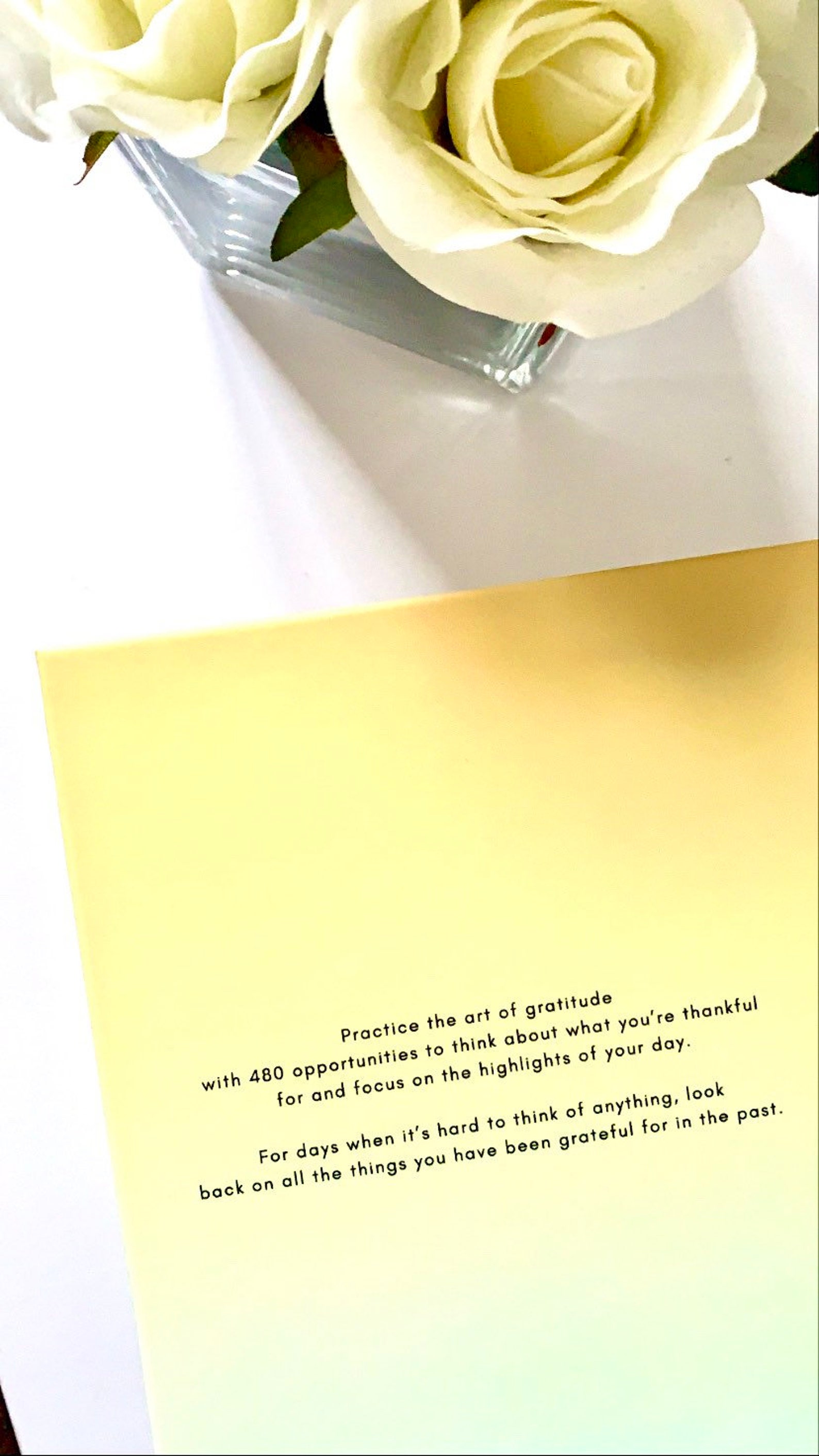 Gratitude Journal Reflection Journal Daily Gratitude | Etsy