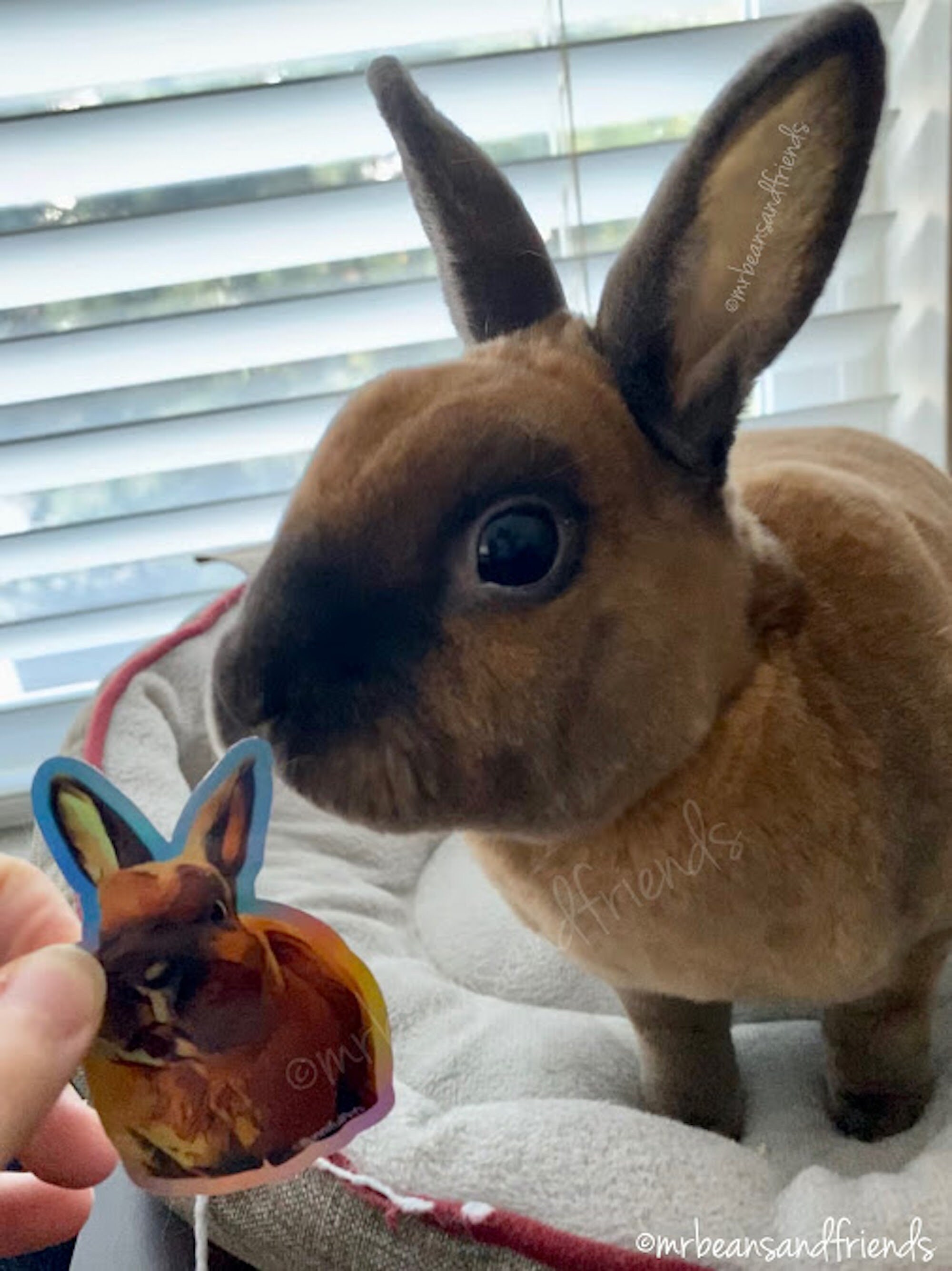 Mr. Beans Bunny Holographic Sticker | Etsy