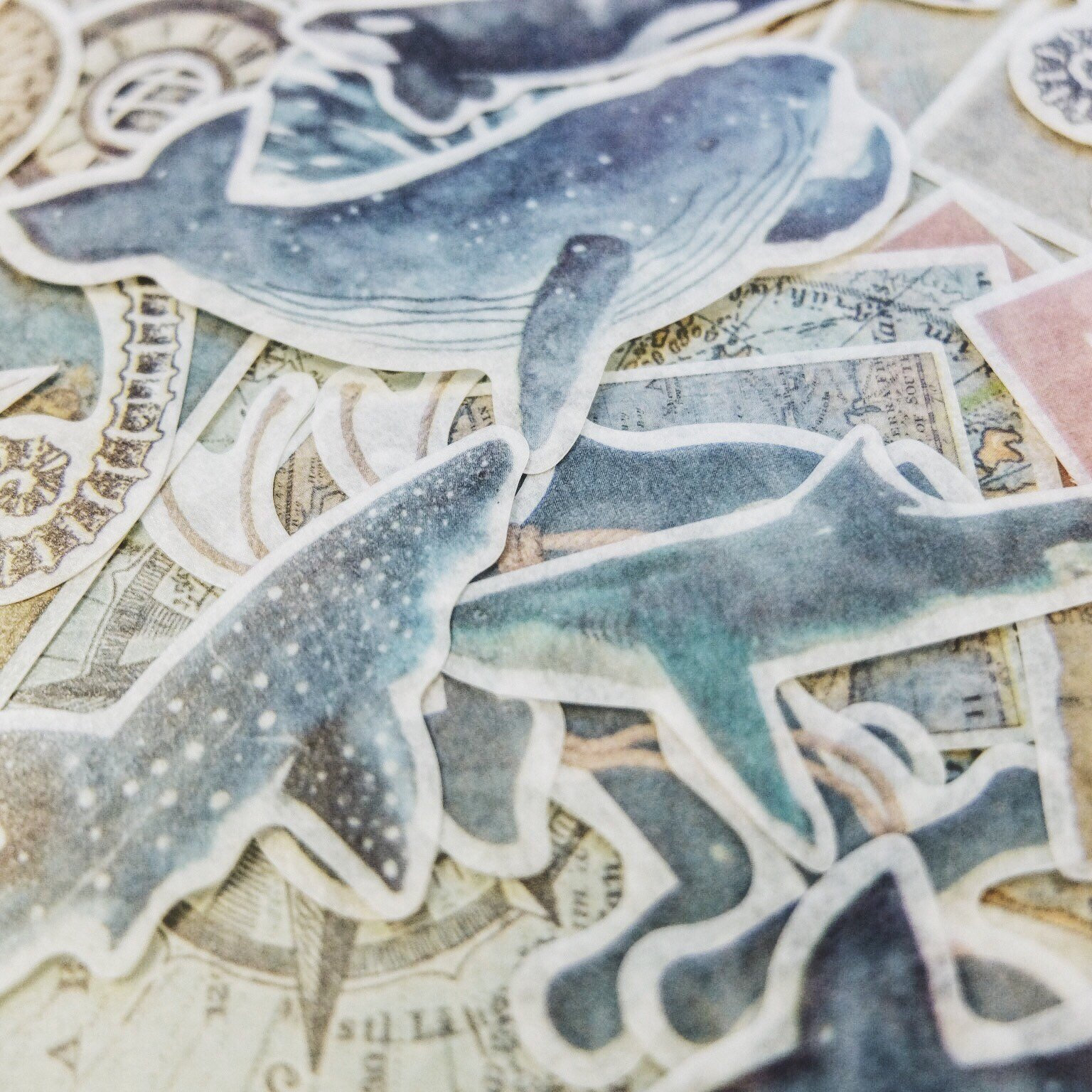 Vintage Washi Deep Sea Sticker Pack Laptop Stickers Cute | Etsy