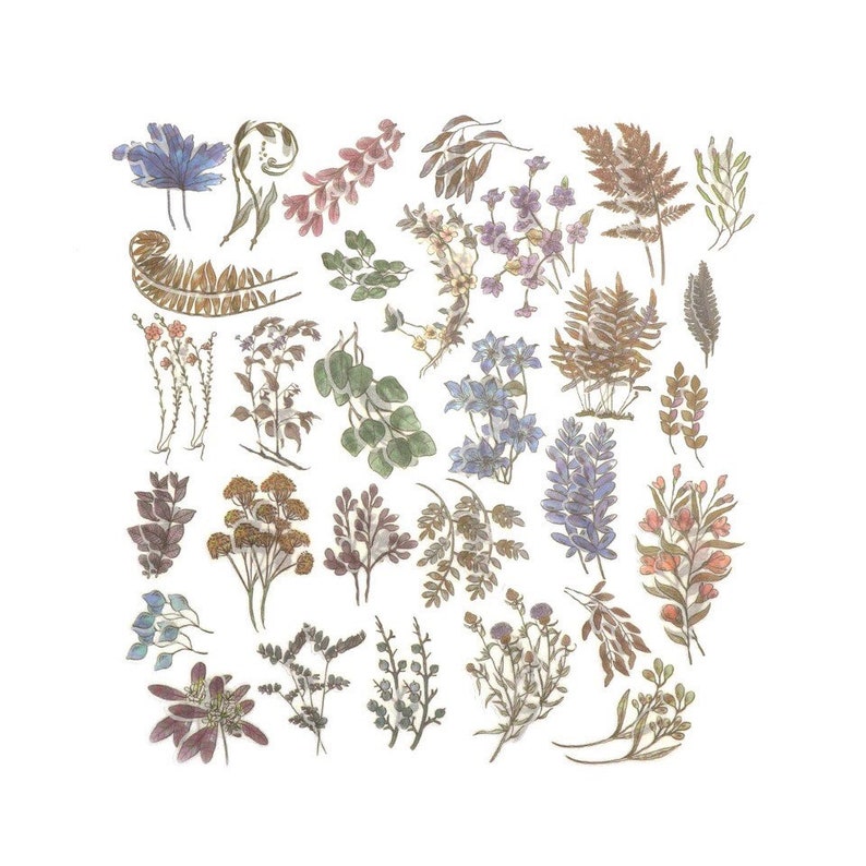 Leaf Large Washi Sticker Floral Sticker Flakes Sticker Pack Laptop ...