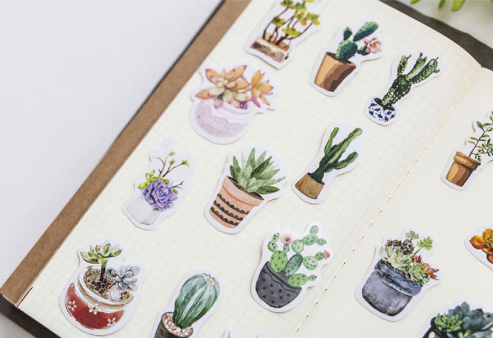 Cactus Sticker Plant Stickers Vegan Stickers Succulents - Etsy