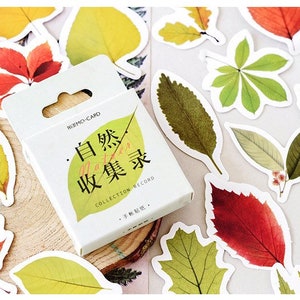 Autumn Leaf Stickers Plant Stickers Pack Cute Fall Leaves Stickers ...
