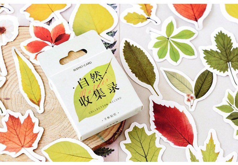 Autumn Leaf Stickers Plant Stickers Pack Cute Fall Leaves | Etsy