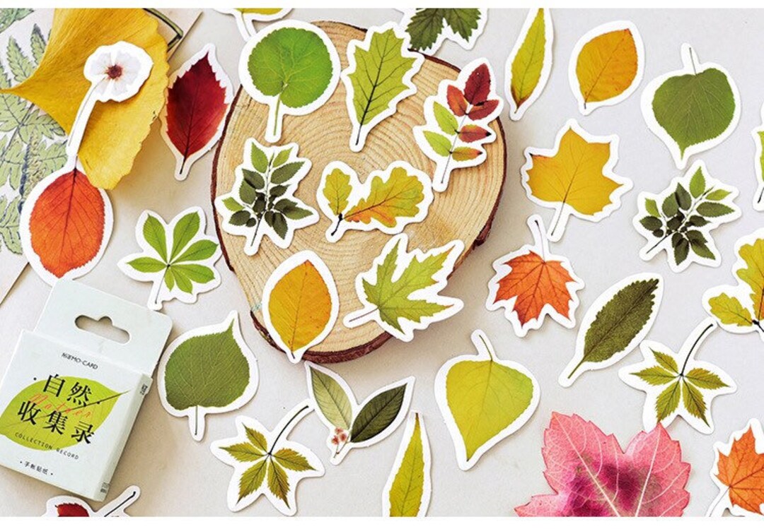 Autumn Leaf Stickers Plant Stickers Pack Cute Fall Leaves Stickers ...