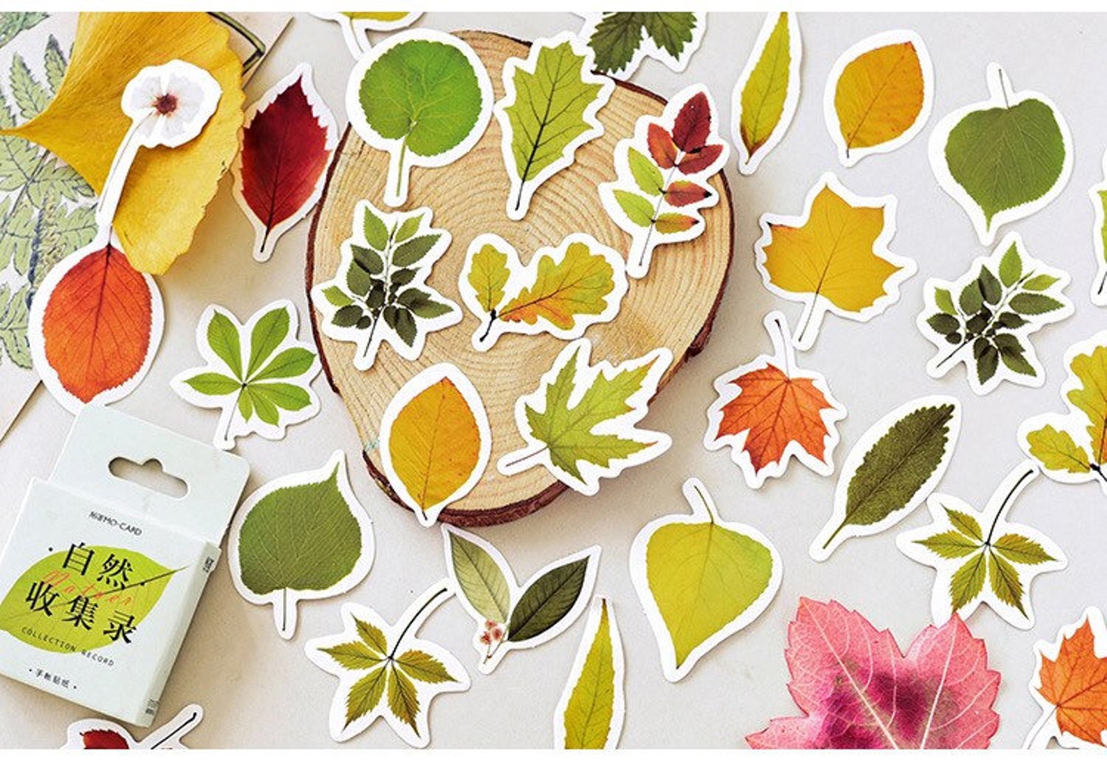 Autumn Leaf Stickers Plant Stickers Pack Cute Fall Leaves - Etsy