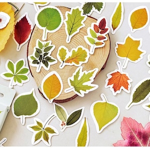 Autumn Leaf Stickers Plant Stickers Pack Cute Fall Leaves Stickers ...