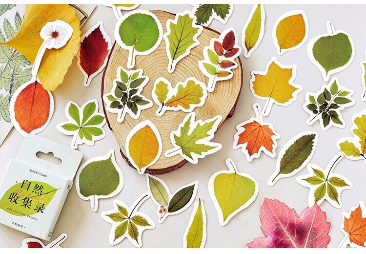 Autumn Leaf Stickers Plant Stickers Pack Cute Fall Leaves | Etsy