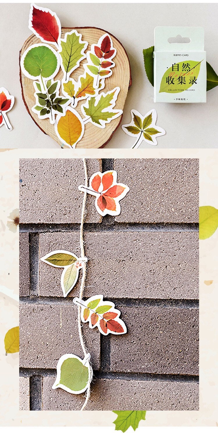 Autumn Leaf Stickers Plant Stickers Pack Cute Fall Leaves | Etsy