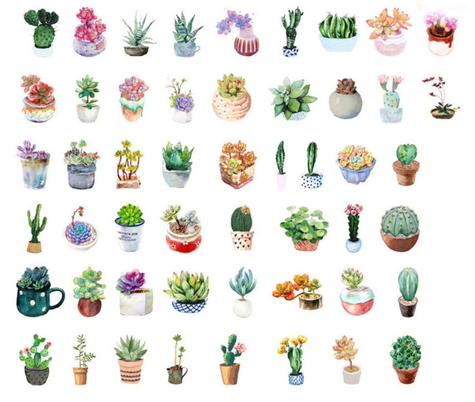 Cactus Sticker Plant Stickers Vegan Stickers Succulents - Etsy