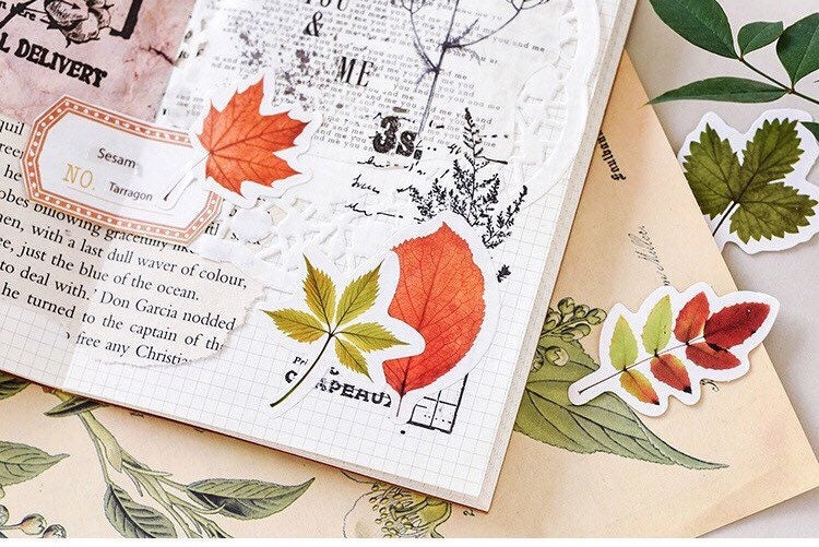 Autumn Leaf Stickers Plant Stickers Pack Cute Fall Leaves | Etsy
