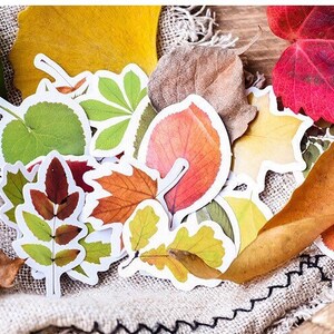 Autumn Leaf Stickers Plant Stickers Pack Cute Fall Leaves Stickers ...