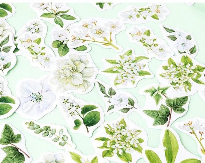 Leaf Stickers Plant Stickers Forest Stickers Leaves Stickers | Etsy