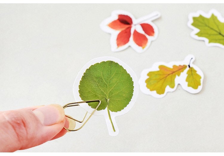 Autumn Leaf Stickers Plant Stickers Pack Cute Fall Leaves | Etsy