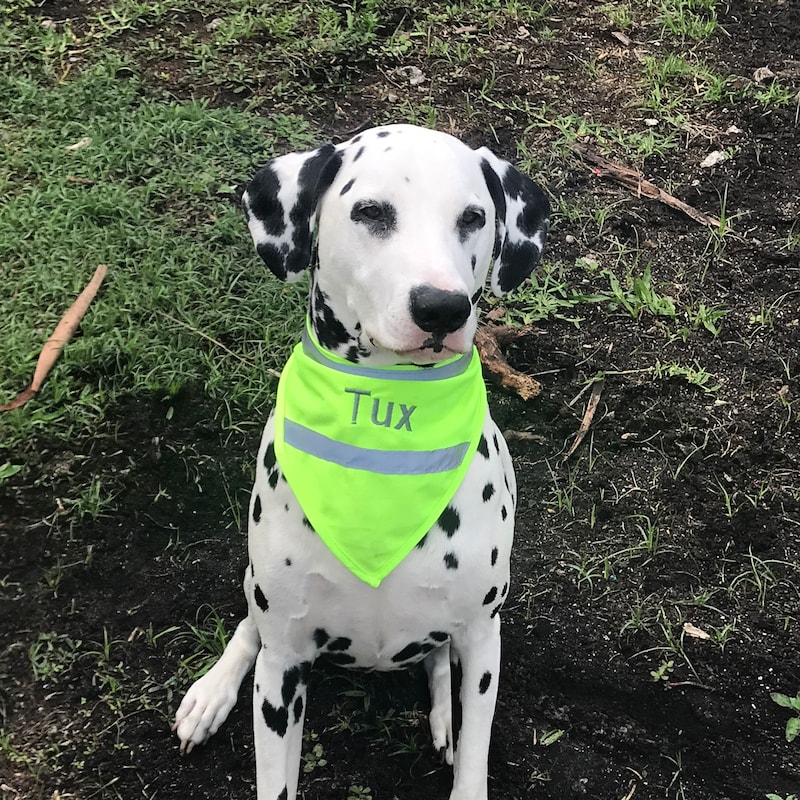 Neon Bandana Custom - Etsy