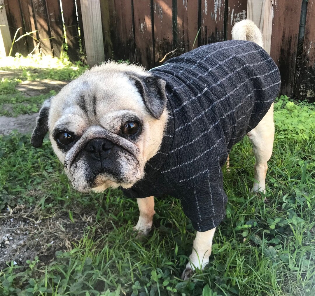 Wider Cut Stretch Pinstripe Dog Shirt, Snap Closures, Great for Pugs ...