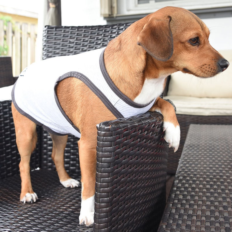 Solid or Stripped Dog Tanks for Small Dogs Soft Feel With - Etsy
