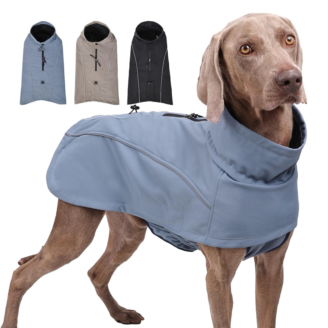 Waterproof Dog Jacket: Harness Zipper, Adjustable Fit, Personalized - Etsy