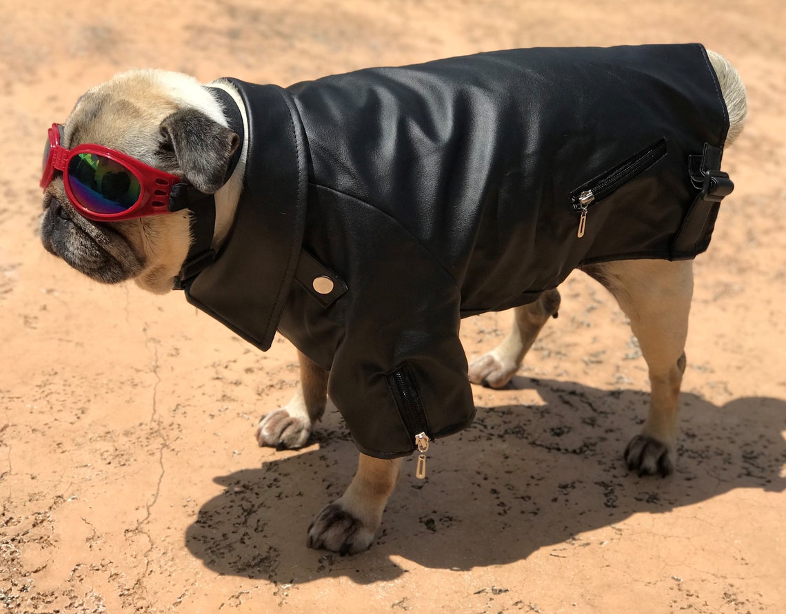Awesome Doggie Leather Look Jackets With Zipper Accents - Etsy
