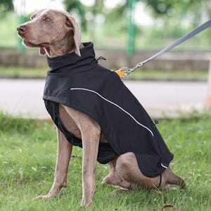 Waterproof Dog Jacket With Harness Zipper, Adjustable Neck and Tail for ...