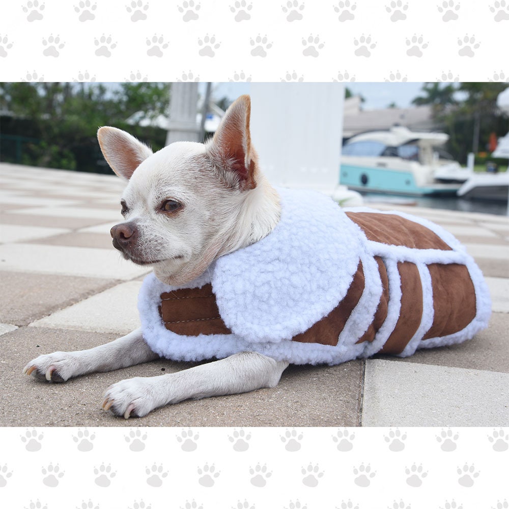 Sherpa Dog Vest: Stylish Small Dog Cape With Personalization - Etsy