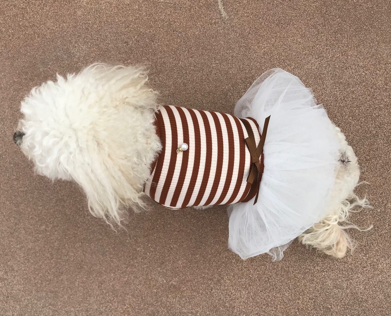Lightweight Stripped Tutu Dress for Smaller Dogs, in Navy or Coffee ...
