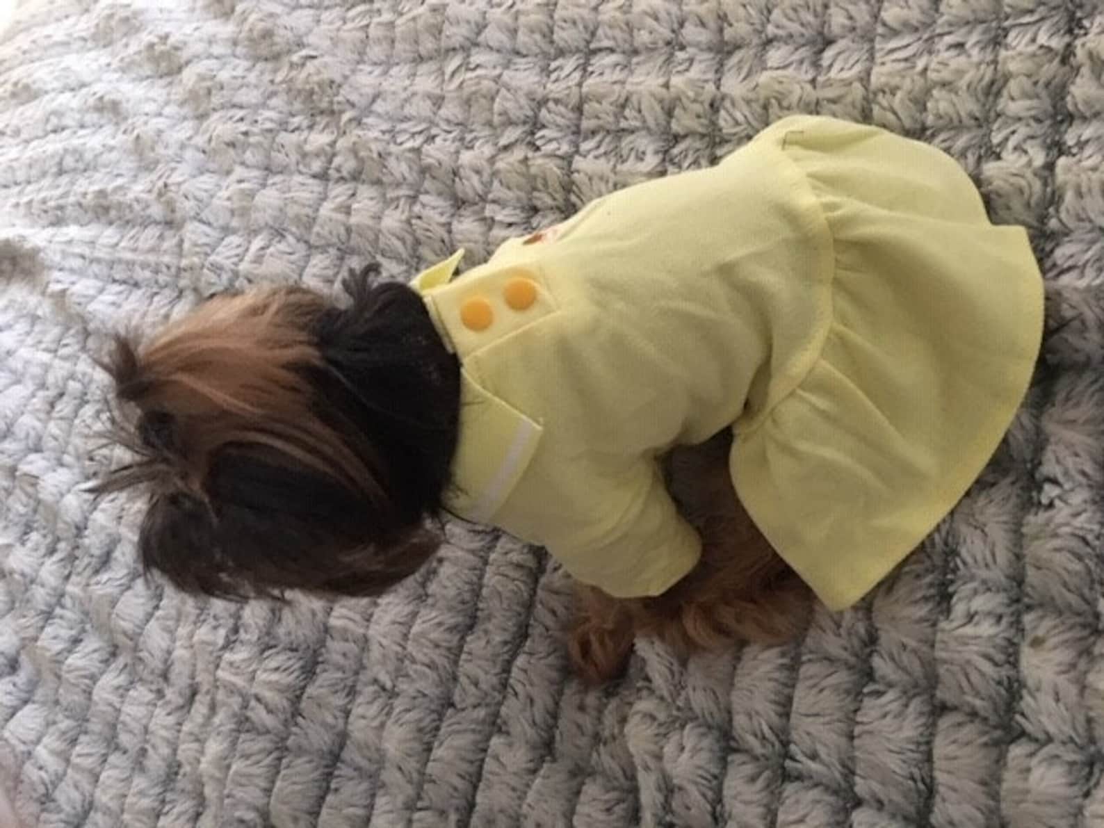 Lightweight Polo Style Dog Dress 3 Colors Stretch Fabric | Etsy