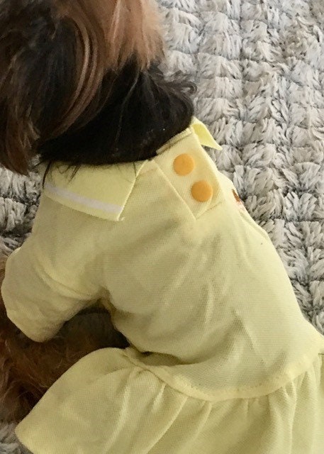 Lightweight Polo Style Dog Dress 3 Colors Stretch Fabric | Etsy