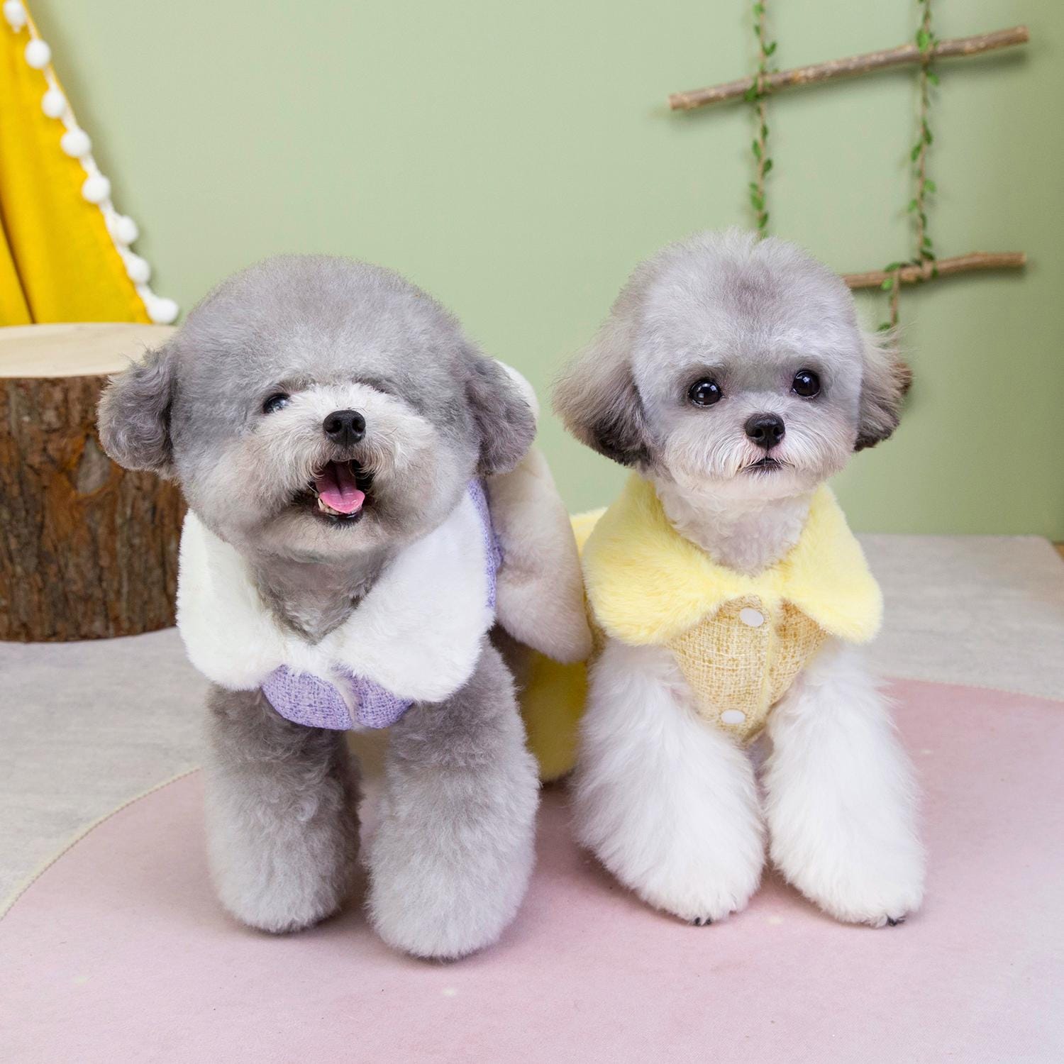 Plush Lined Tweed Look Dog Dress With Snap Closures, Bow Detail, D-ring ...