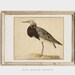 Big Bird VINTAGE Art Print | Download Only Antique Neutral Muted | Wall ...