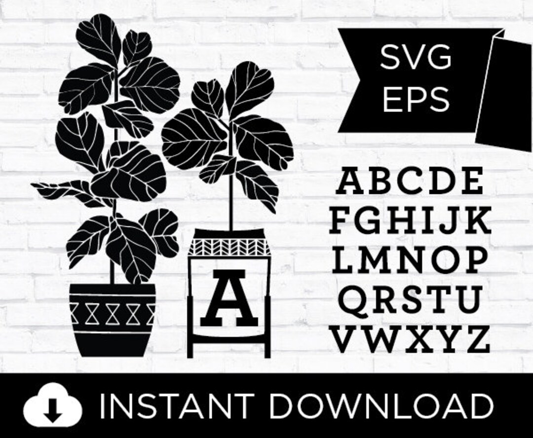 Fiddle Leaf Fig Potted Plant | Monogram | Boho | Potted House Plant ...