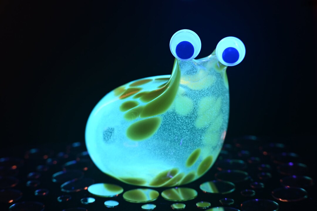Adopt-a-slug 'pastel Glow' Slugs - Etsy