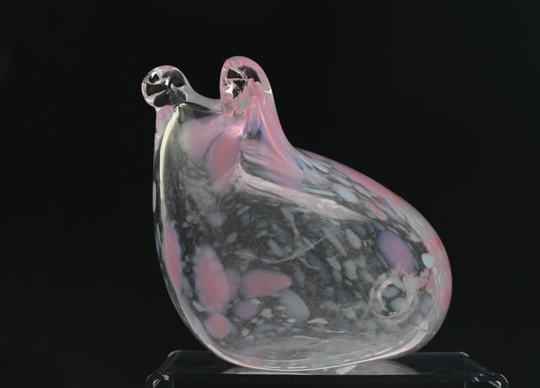 Adopt-a-slug 'pastel Glow' Slugs - Etsy