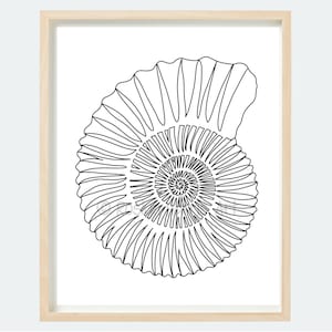 Beach Shell Printable Digital Downloadsimple Coastal DIY - Etsy