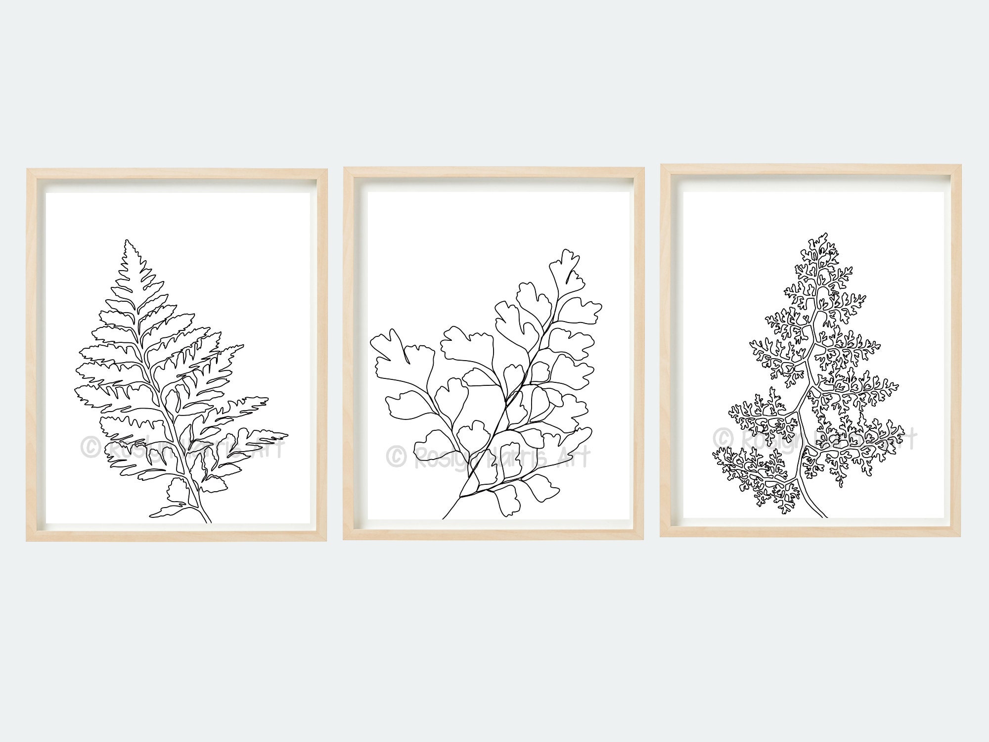 Fern Line Art Minimal Line Botanical Download Maidenhair - Etsy