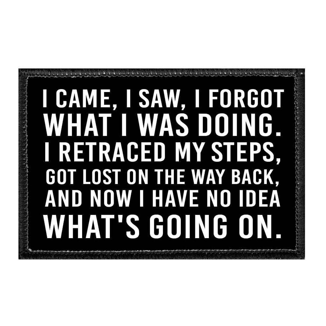 I Came, I Saw, I Forgot What I Was Doing. I Retraced My Steps, Got Lost ...