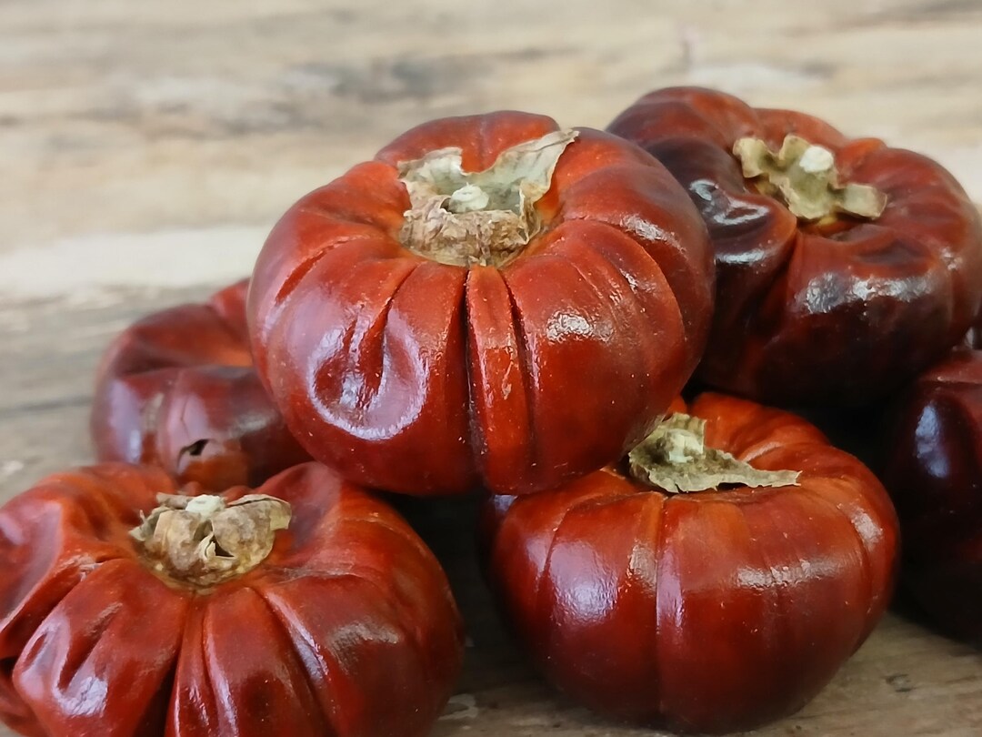 New Handmade Dried Pumpkins Mini Dried Pumpkin Peppers Primitive Home ...