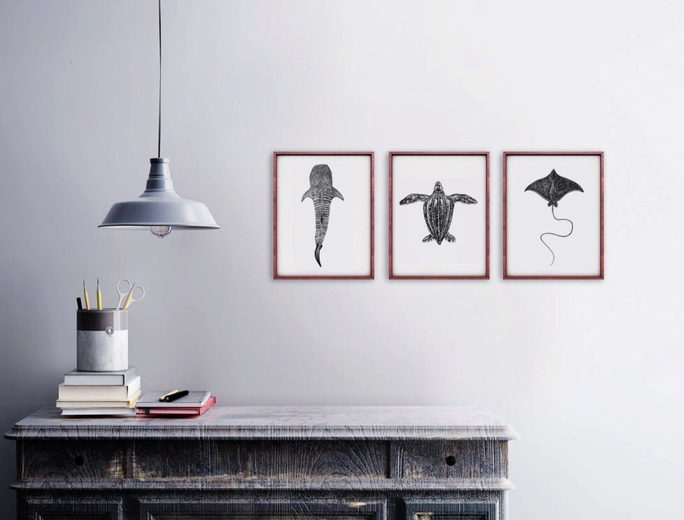 Pacific Spotted Eagle Ray Finding Nemo Ocean Coastal Beach Black and ...