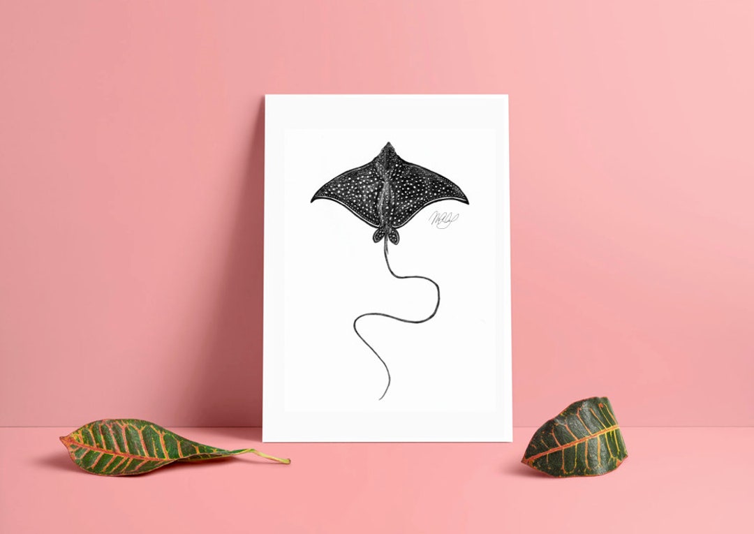 Pacific Spotted Eagle Ray Finding Nemo Ocean Coastal Beach Black and ...