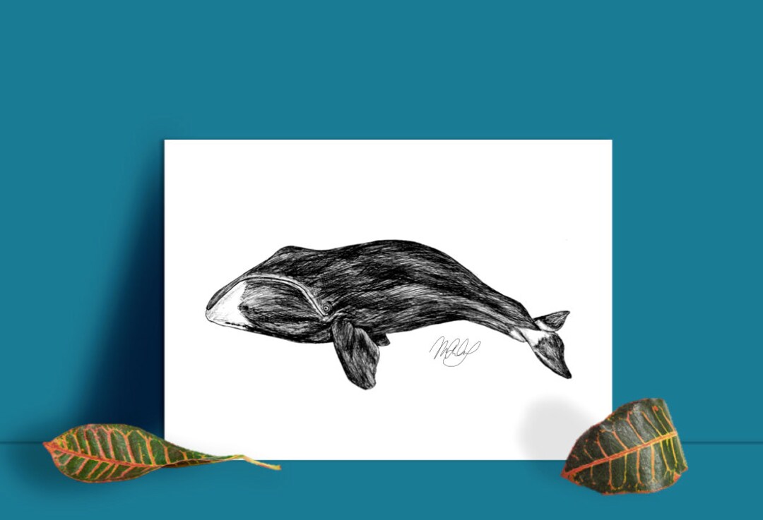 Grönlandwal Art Print Bartenwal schwarz-weiße Tinte Originalzeichnung ...
