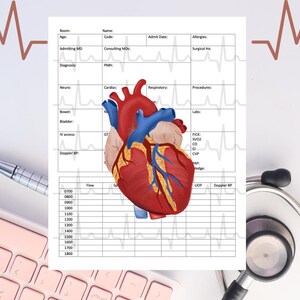 CVICU CCU ECMO Icu Report Sheet - Etsy