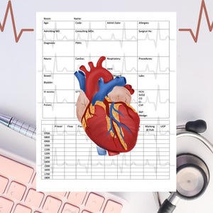CVICU CCU ECMO Icu Report Sheet - Etsy